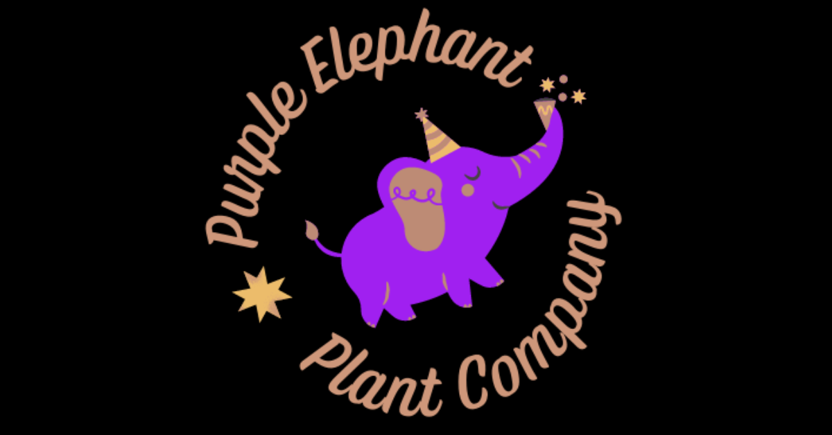 Purple Elephant Rare Plant Co. – Purple Elephant Plant Co.